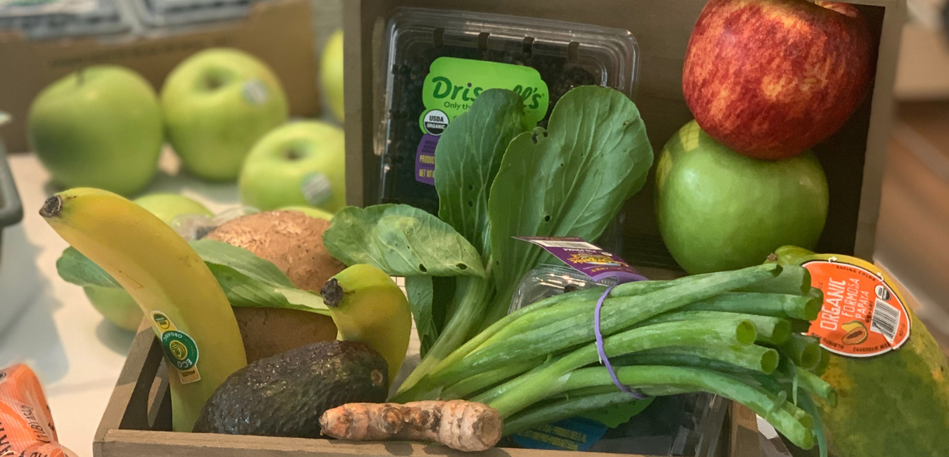 SHOP BLOOM HEALTHY – Bloom Healthy