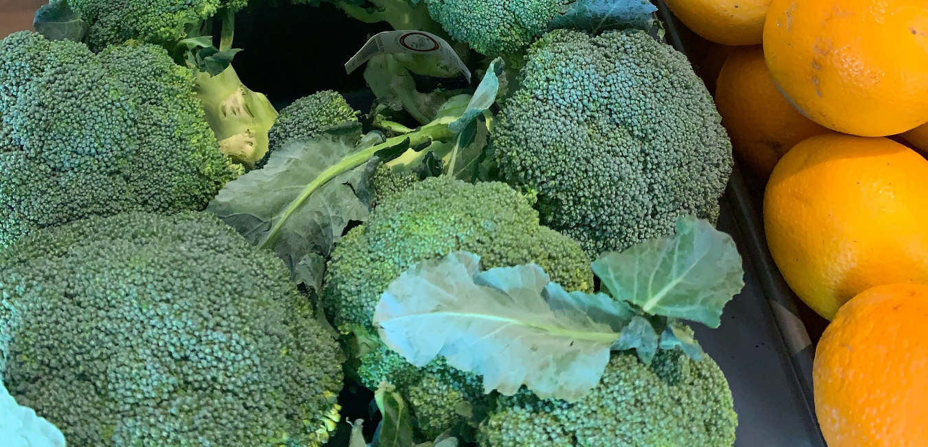 Bloom Healthy – Bloom Healthy