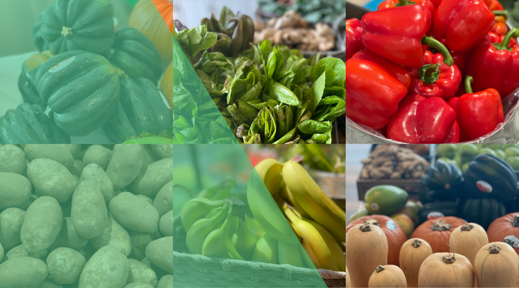 Bloom Healthy – Bloom Healthy