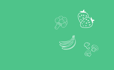 Bloom Healthy – Bloom Healthy