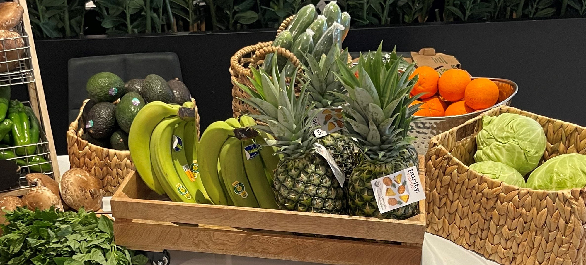 Bloom Healthy – Bloom Healthy